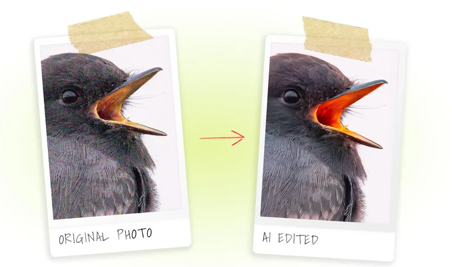 Kỷ nguyên mới của AI sẽ khiến nhiếp ảnh "nhảy vọt" thế nào?